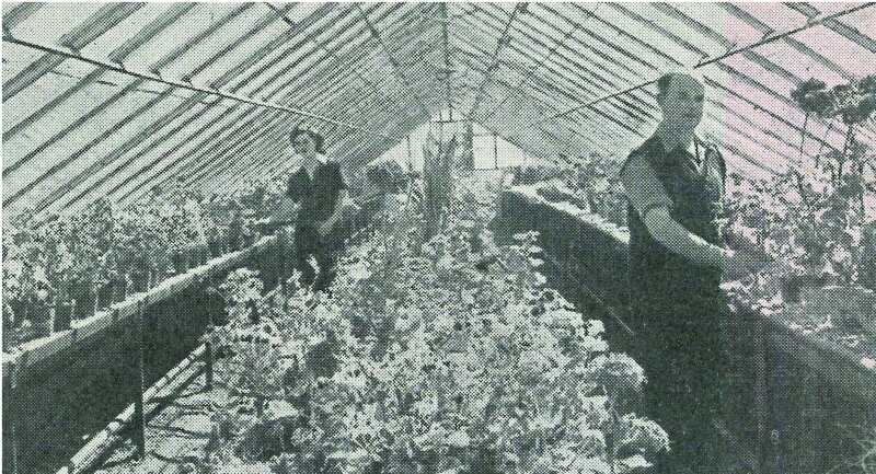 Our History | The Springfield Group